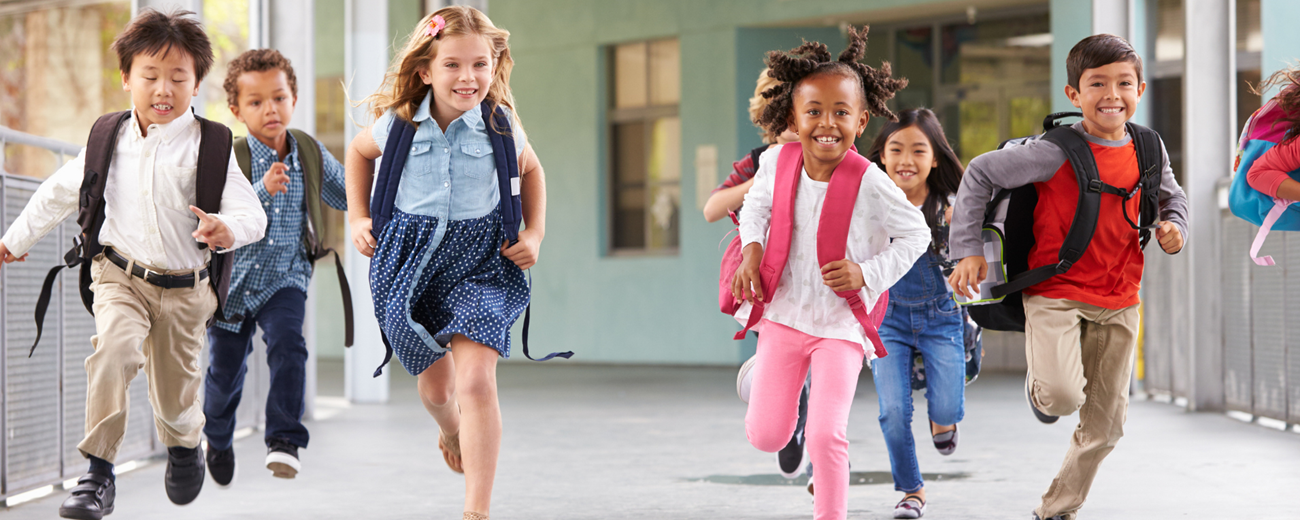 Help Your Child Succeed At School With Dr Judith Locke - Life Ed Australia
