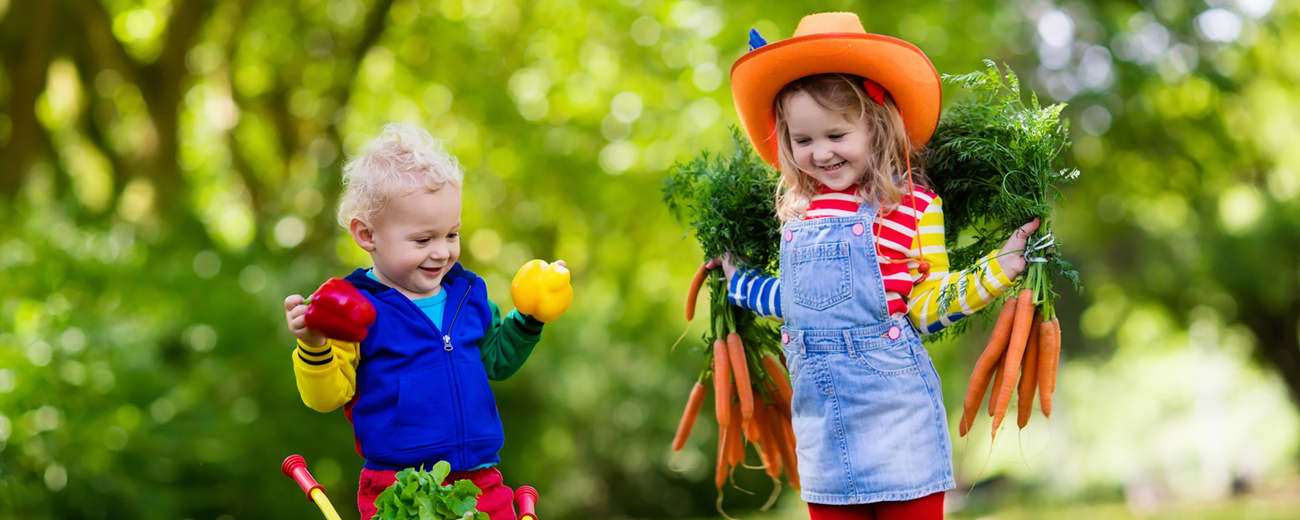 Growing happy little veggie-mites with Kate Di Prima - Life Ed Australia