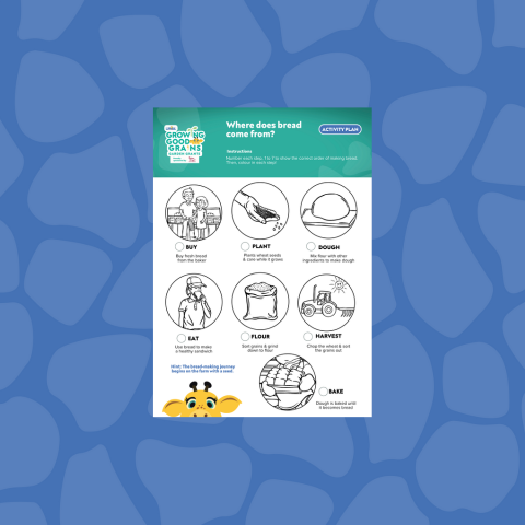 Where Does Bread Come From? - Life Ed Australia